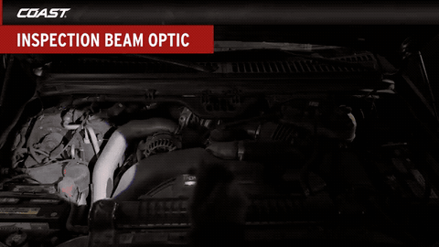 A9R-Coast Rechargeable Penlight Inspection Beam LED Torch - Stainless ...